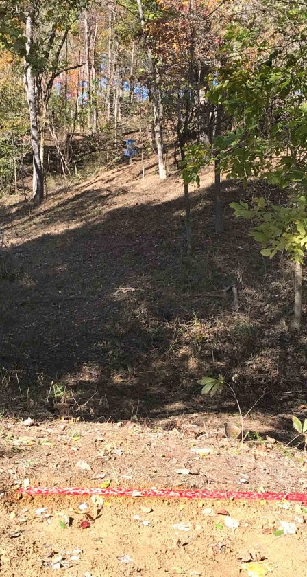 Disc golf tees off in Jackson Memorial Park | News, Sports, Jobs - News ...